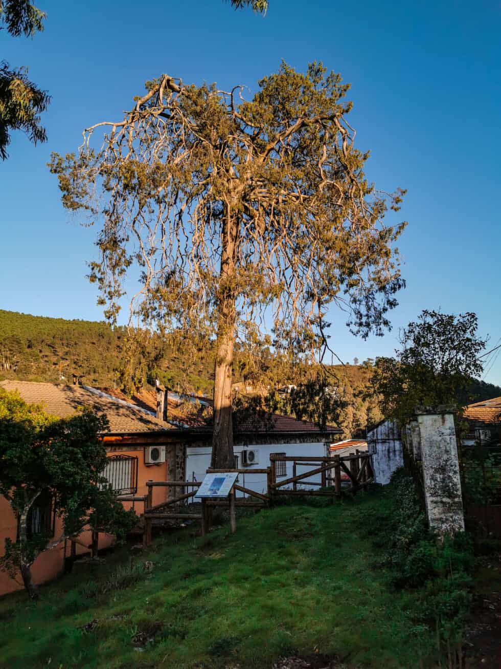 El tio picho productos naturales de las Hurdes s.l | Descubre Las Hurdes